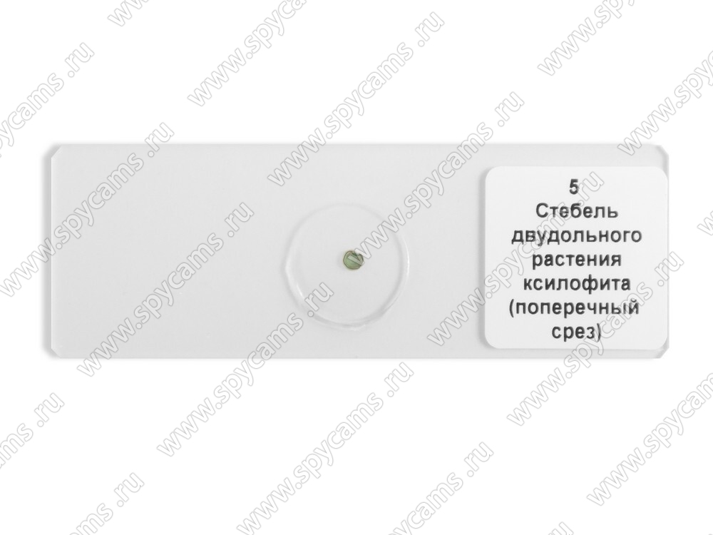 Комплект готовых микропрепаратов для микроскопа - 100 штук купить по ...